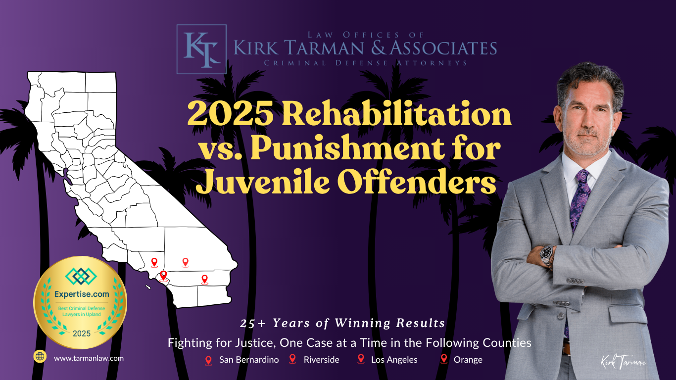 Navigating the System: Rehabilitation vs. Punishment for Juvenile ...